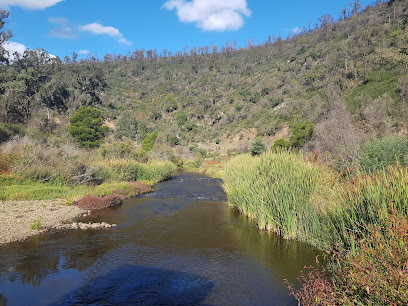 Tambo River campsite | VIC Campsites | Camptoo