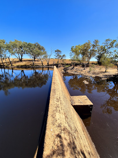 Bogan Weir camping area | NSW Campsites | Camptoo